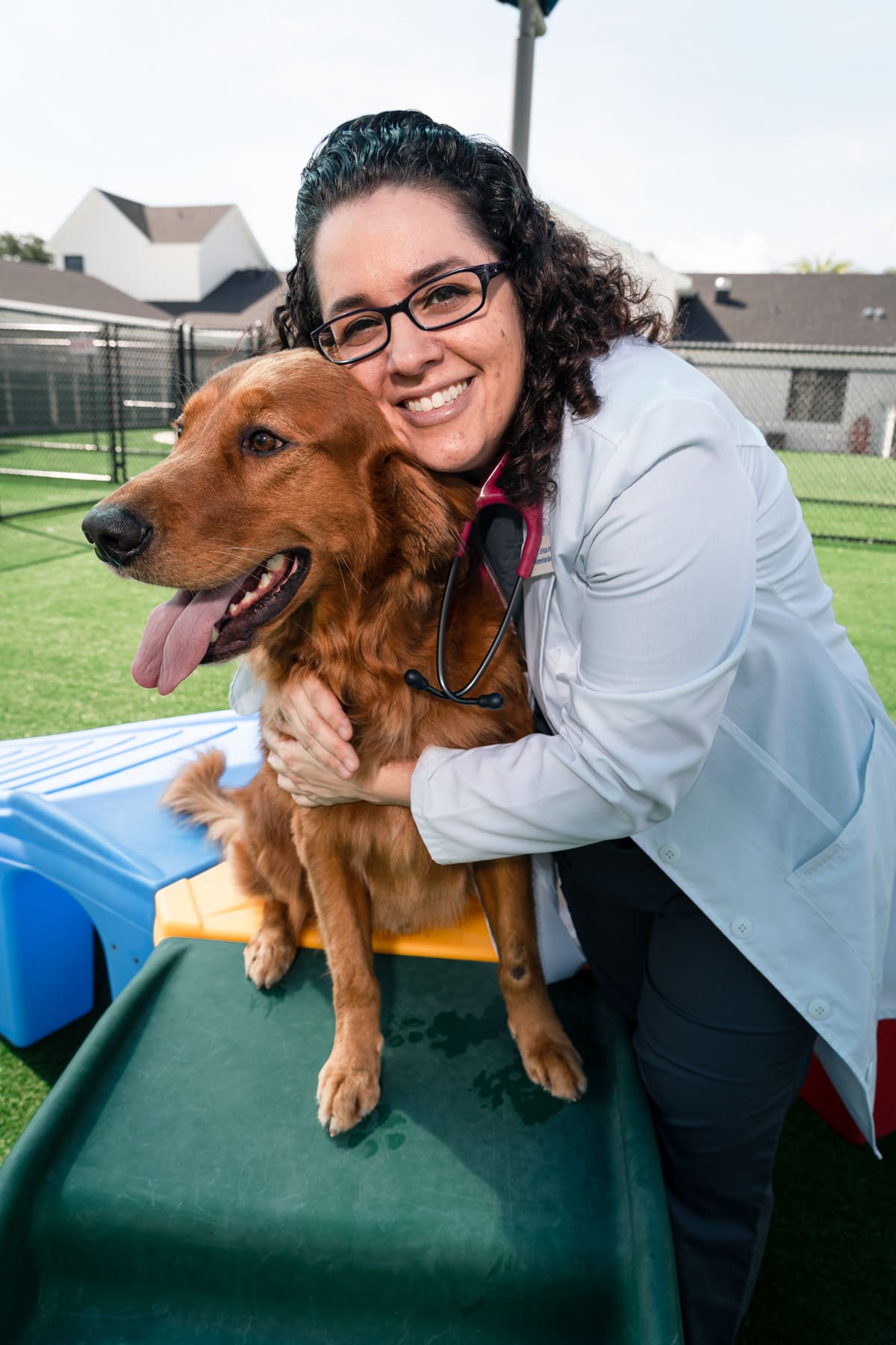 Animal Gator - Your Comprehensive Guide to the Animal World