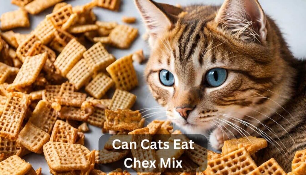 Can Cats Eat Chex Mix? Risks of Garlic, Salt & Toxicity