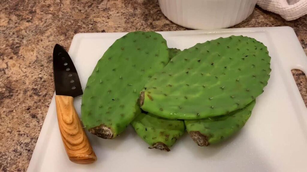 Can Cats Eat Scrambled Eggs? Benefits & Safety Explained