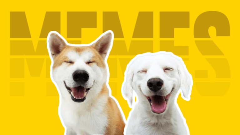 What the Heckin Dog? A Comprehensive Guide - Animal Gator