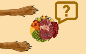 Dog Calorie Calculator: Find the Perfect Diet for Your Dog