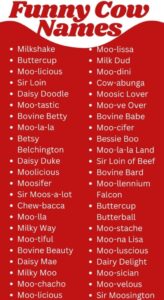 100+ Cute Bull Names for Strong, Unique, and Playful Bulls