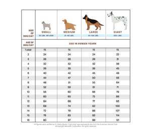 Dog Age Calculator (in Human Years) | Accurate Dog Age Calculator