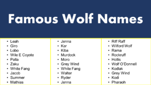 350+ Wolf Names with Meanings: Mythical, Strong & Unique Ideas