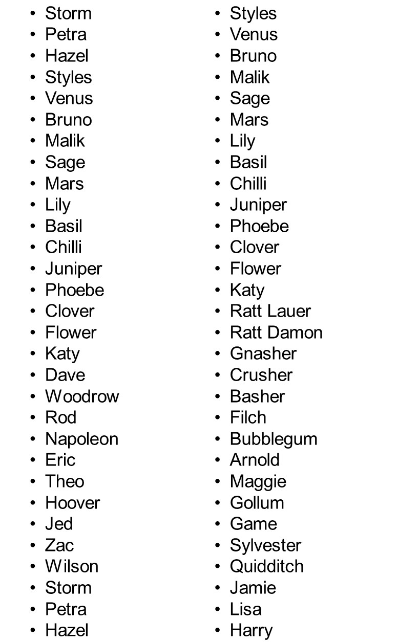 Top 200+ Female Rat Names: Cute, Unique, and Funny Ideas