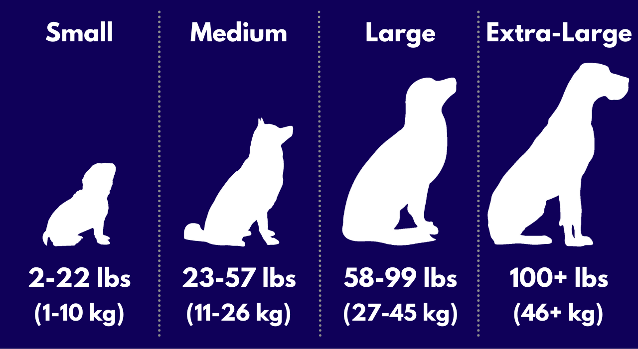 Dog Size Calculator - Predict How Big Your Puppy Will Get Easily